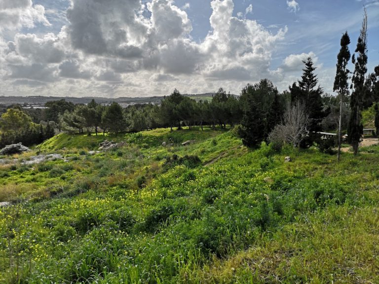 Top 15 Parks And Gardens in Malta - Maltatina